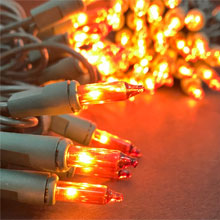 Festive Turkey Party String Lights